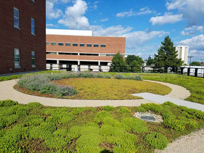 New online landscape skills courses available from Penn State Extension ...